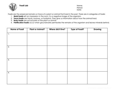 Rock, mineral and fossil classification lab templates - Store - Science ...