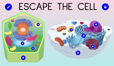 Cellular Organelle Digital Escape Room - Store - Science Lessons That Rock