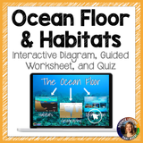 Ocean floor and habitats webquest activity Interactive Diagram - Store ...