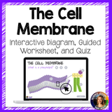 Cell Membrane Interactive Diagram Digital Webquest - Store - Science ...