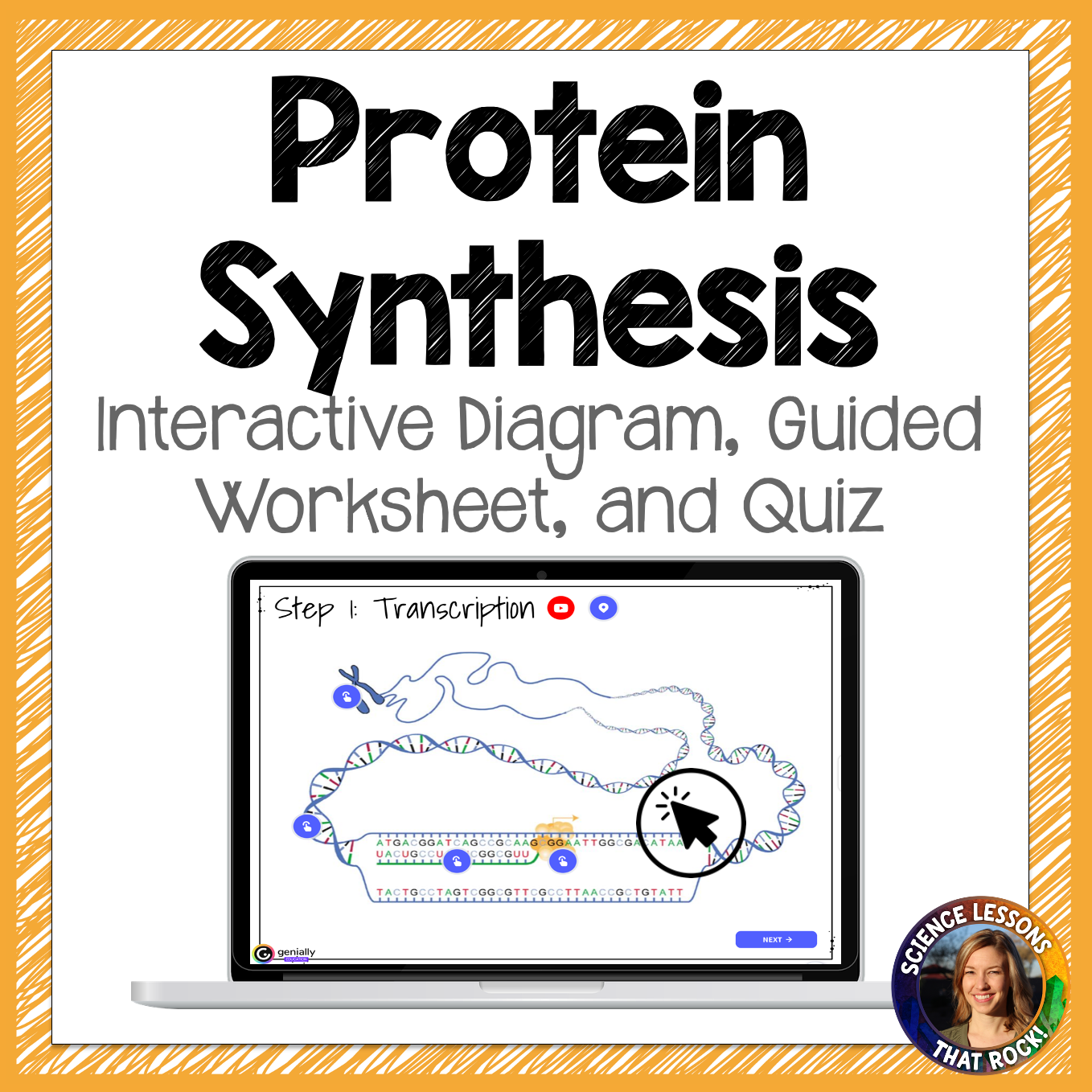 Protein Synthesis Interactive Diagram - Store - Science Lessons That Rock