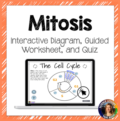 Mitosis Interactive Diagram - Store - Science Lessons That Rock