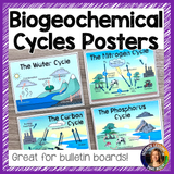 Biogeochemical Cycles Posters - Store - Science Lessons That Rock