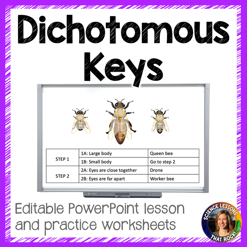 Dichotomous Keys Powerpoint and Worksheets - Store - Science Lessons ...