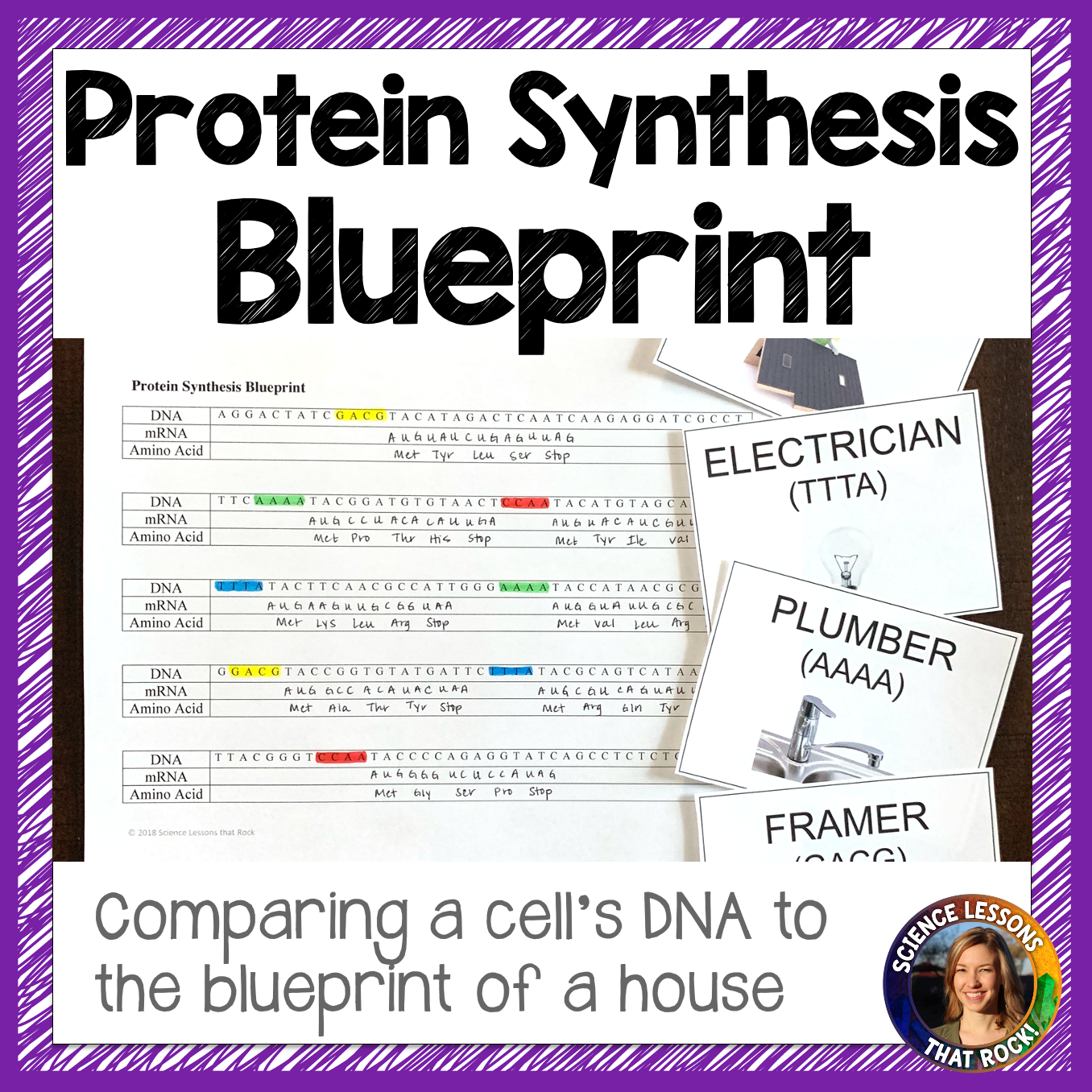 Protein Synthesis Blueprint Activity - Store - Science Lessons That Rock