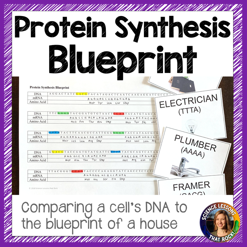 DNA and Protein Synthesis Lessons - Store - Science Lessons That Rock