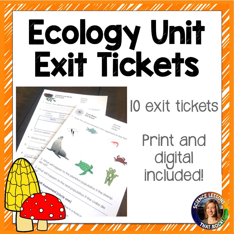 Ecology Exit Tickets - Store - Science Lessons That Rock