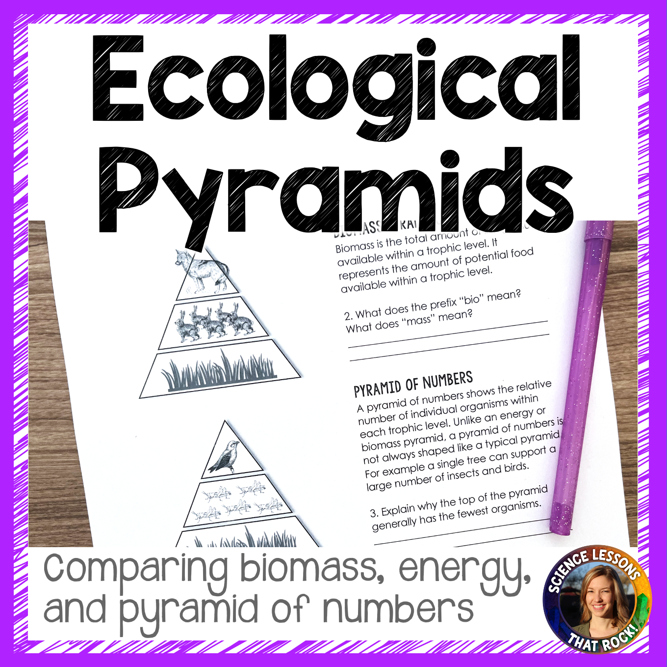 Comparing Ecological Pyramids - Store - Science Lessons That Rock