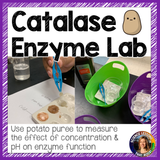Enzyme Catalase Lab - Store - Science Lessons That Rock