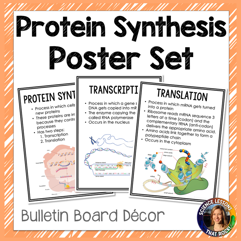 DNA and Protein Synthesis Lessons - Store - Science Lessons That Rock