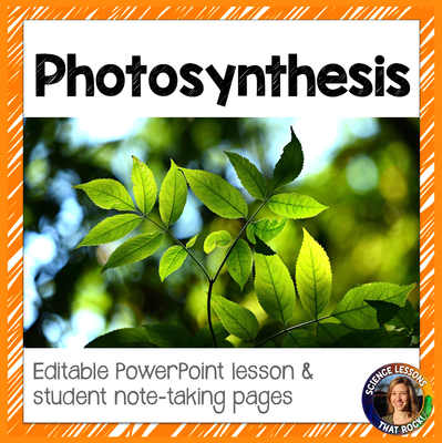 Photosynthesis powerpoint presentation - Store - Science Lessons That Rock