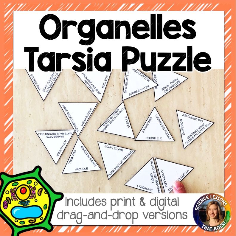 Organelle Tarsia Puzzle - Store - Science Lessons That Rock