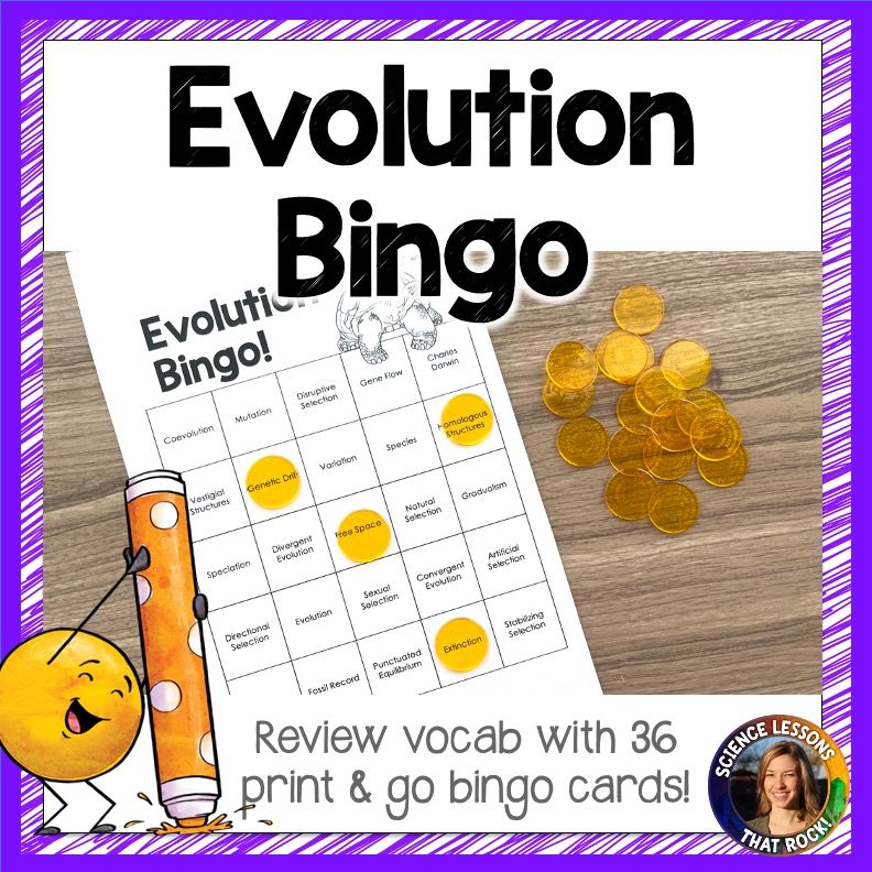 Evolution Bingo Vocabulary Review Game - Store - Science Lessons That Rock