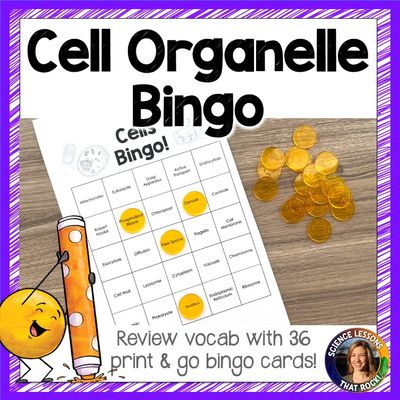 Cell Organelle Bingo Vocabulary Review Game - Store - Science Lessons ...
