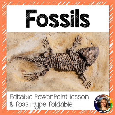 Fossils Powerpoint Lesson - Store - Science Lessons That Rock