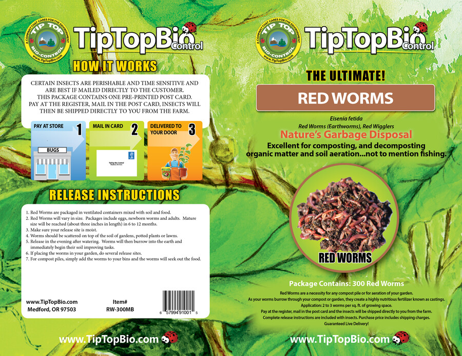 Tip Top Bio Worms Live Red Wigglers All Life Stages Highly Excretory ...