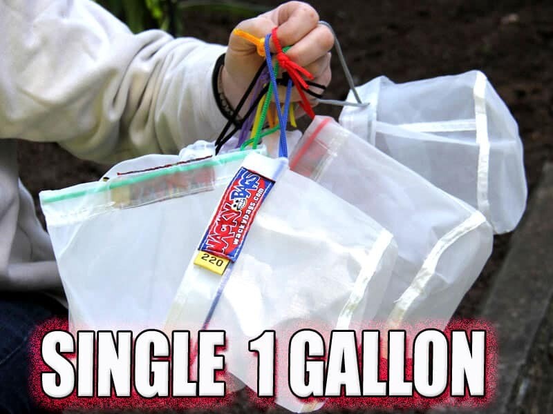 Wacky Willy's Extraction Bags All Mesh