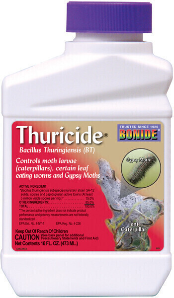 Bonide Insecticide Bacillus Thuricide BT