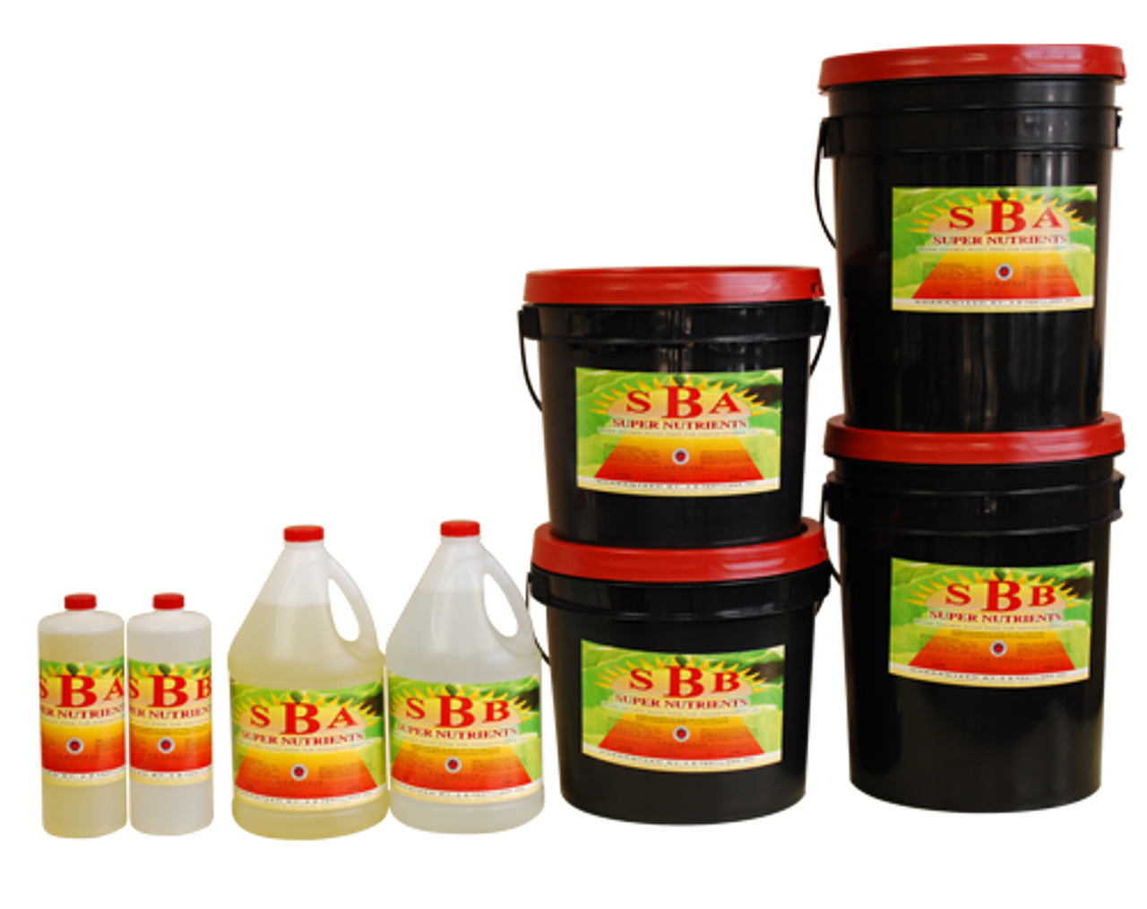 Super Nutrients SBB Bloom B Super