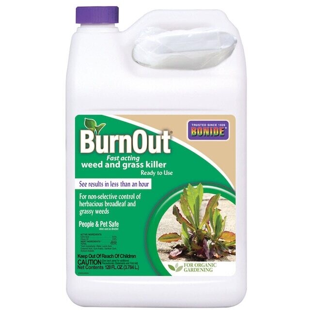 Bonide Burnout Herbicide Weed & Grass Killer, Ready to Use