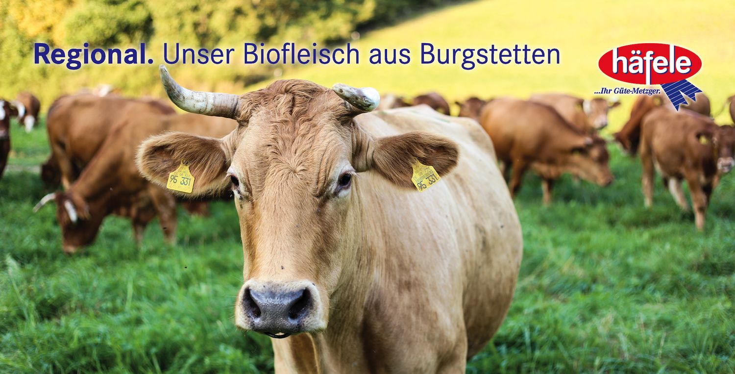 BIO Rindfleisch
