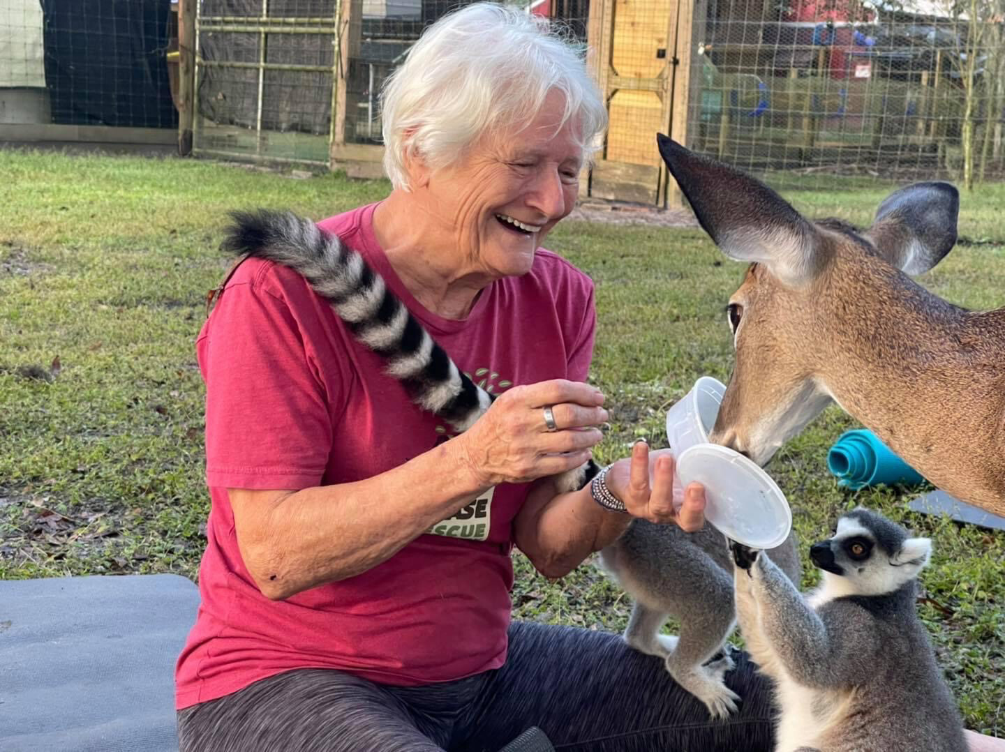 Animal Experiences | Chase Sanctuary