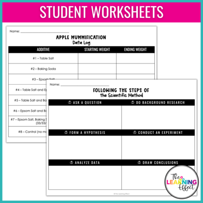 Apple Mummification Science Experiment