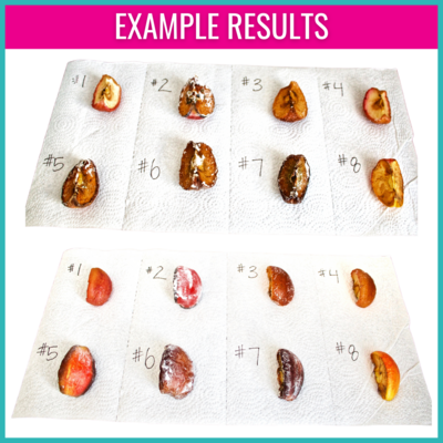 Apple Mummification Science Experiment