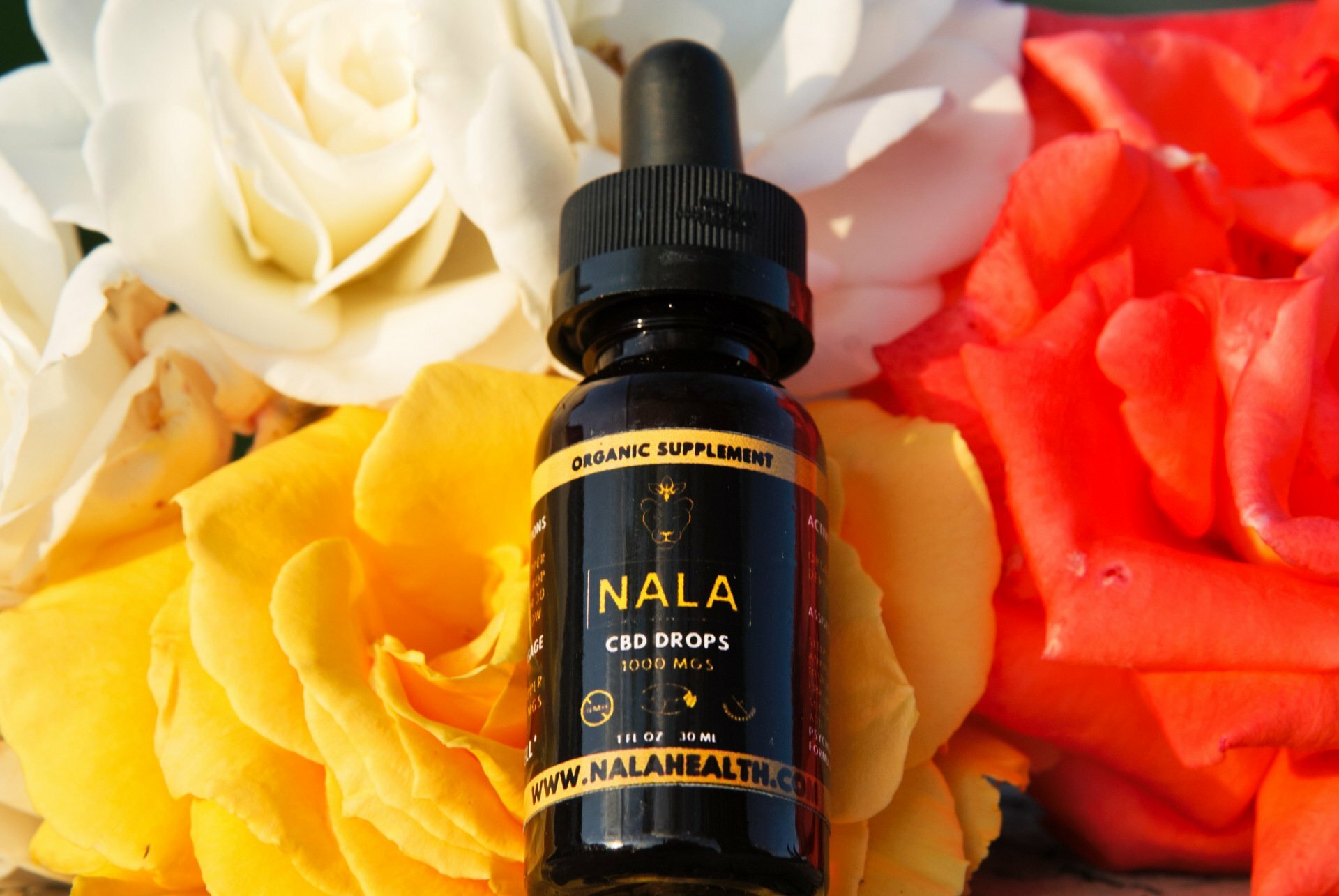 NALA Health + Recovery