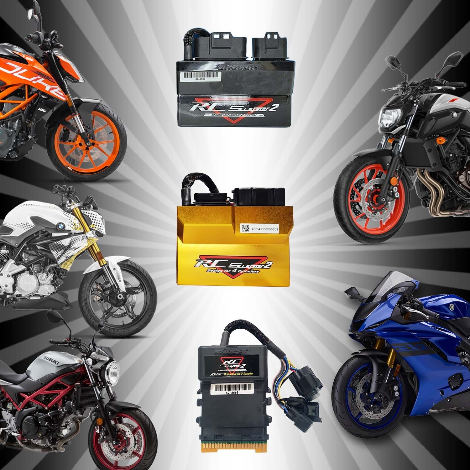 Big Bike ECU (250cc up)