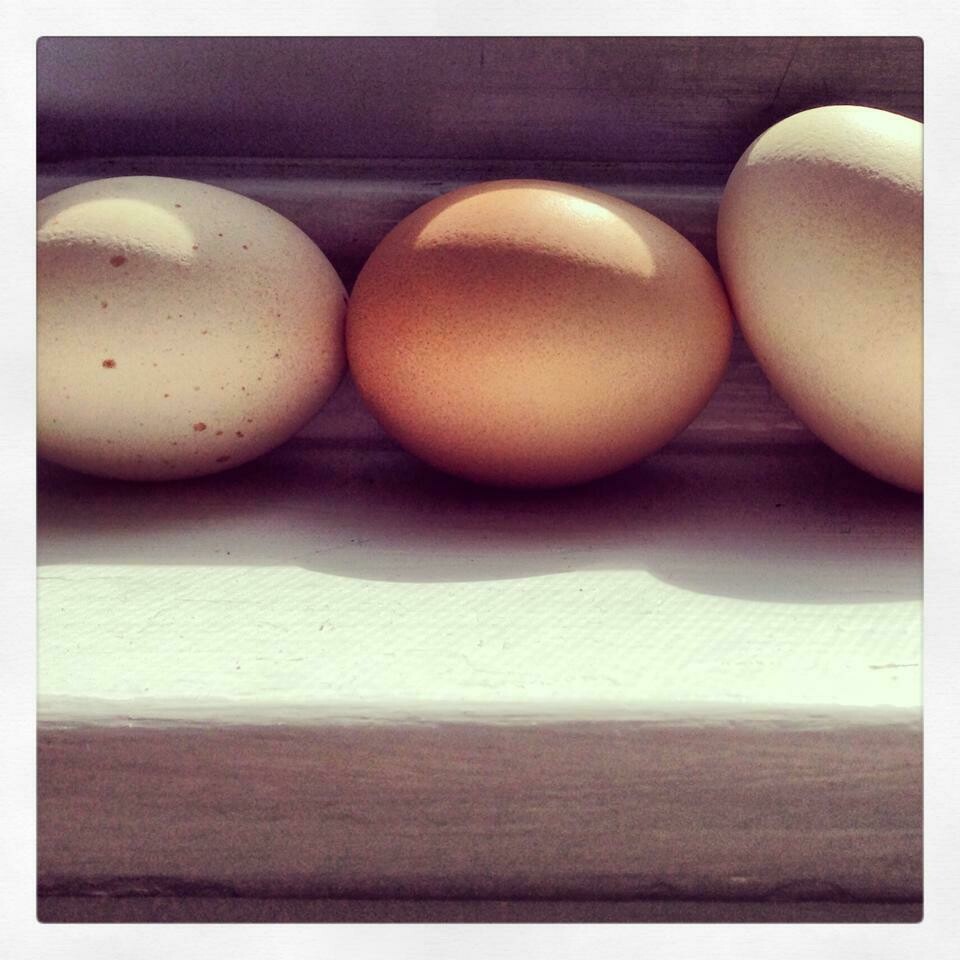 Eggs - Farm To Table Meals, Grass Fed Beef, & Pasture Raised Meats and ...