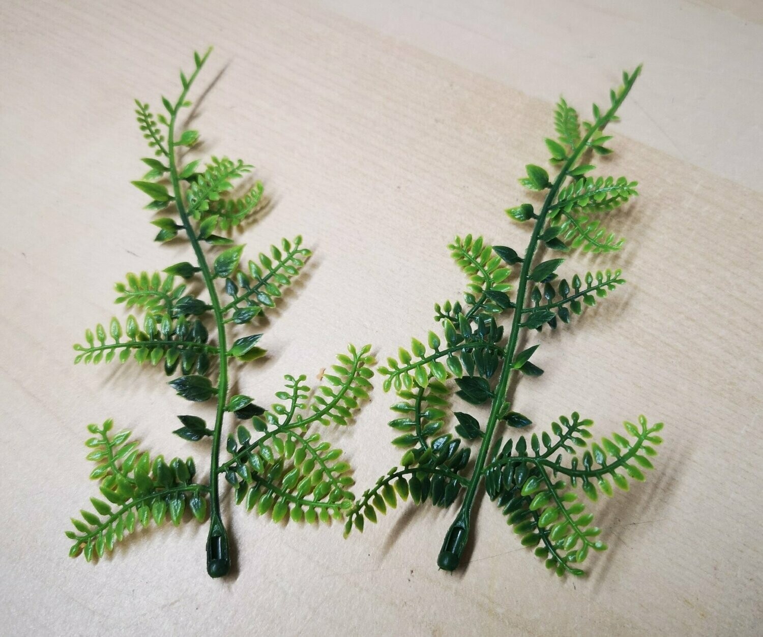 Jungle Creeper Ferns x2