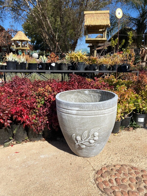 Olive Pot Large White Wash Finish H470mm x W470mm 20kg