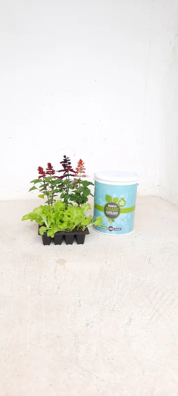 Enhancer Organic Fertilizer 2.5kg