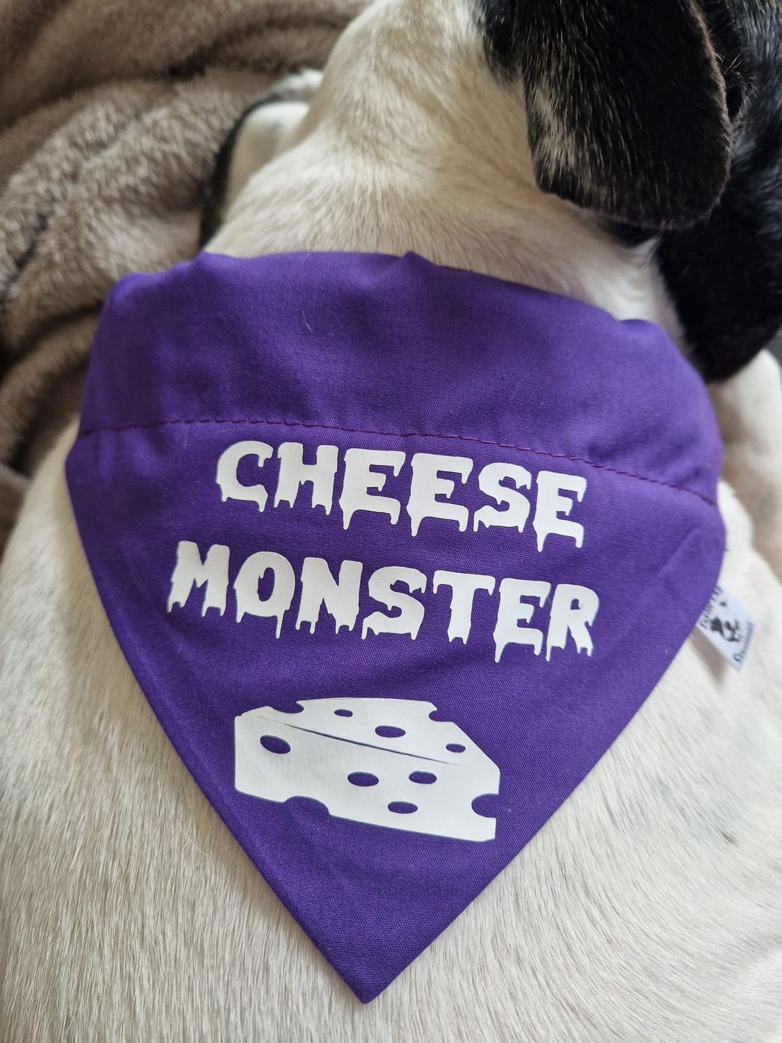 Halloween bandana slide on collar
