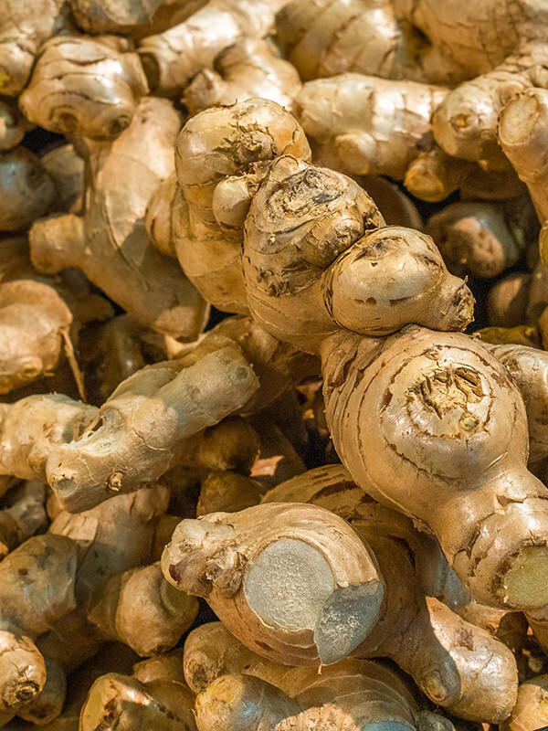 Ginger