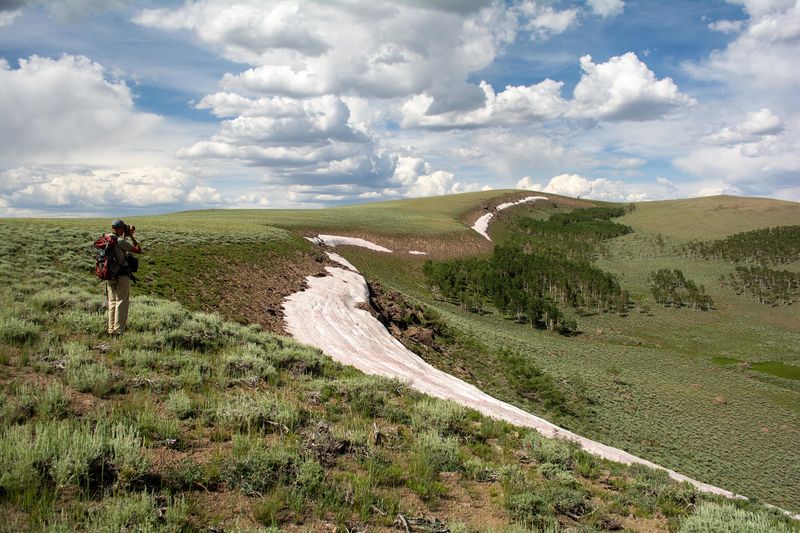 Shop - Friends of Nevada Wilderness