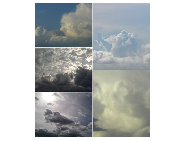 Artist | Michelle Kriz