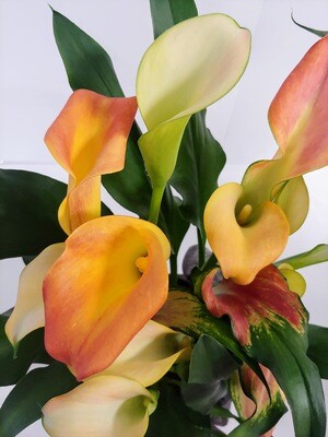 O'Fleuriste Saint-Constant