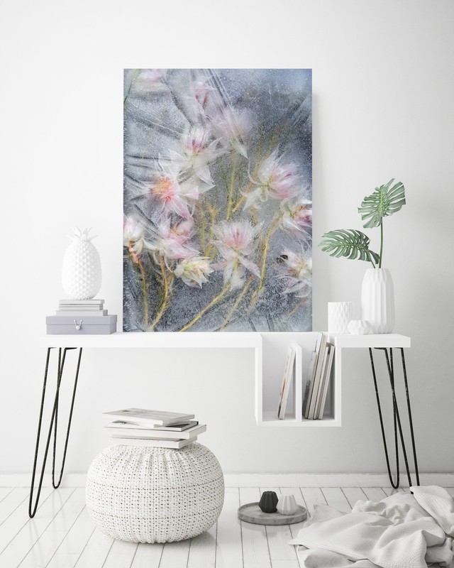 Bruce Boyd Fine Art Photography