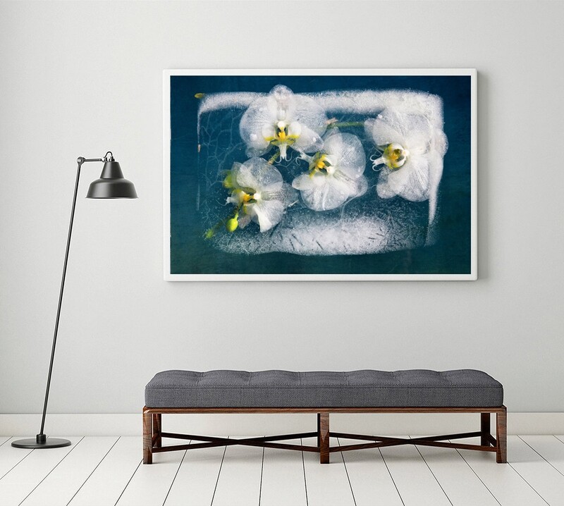 Bruce Boyd Fine Art Photography