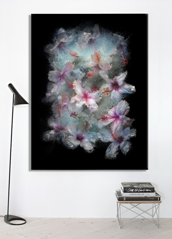 Bruce Boyd Fine Art Photography