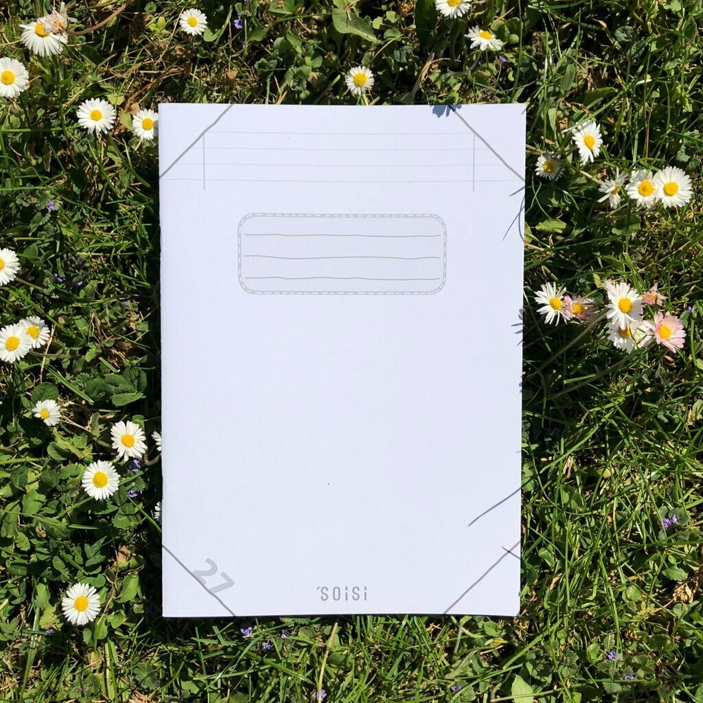 Lineatur 27 (liniert mit Doppelrand)