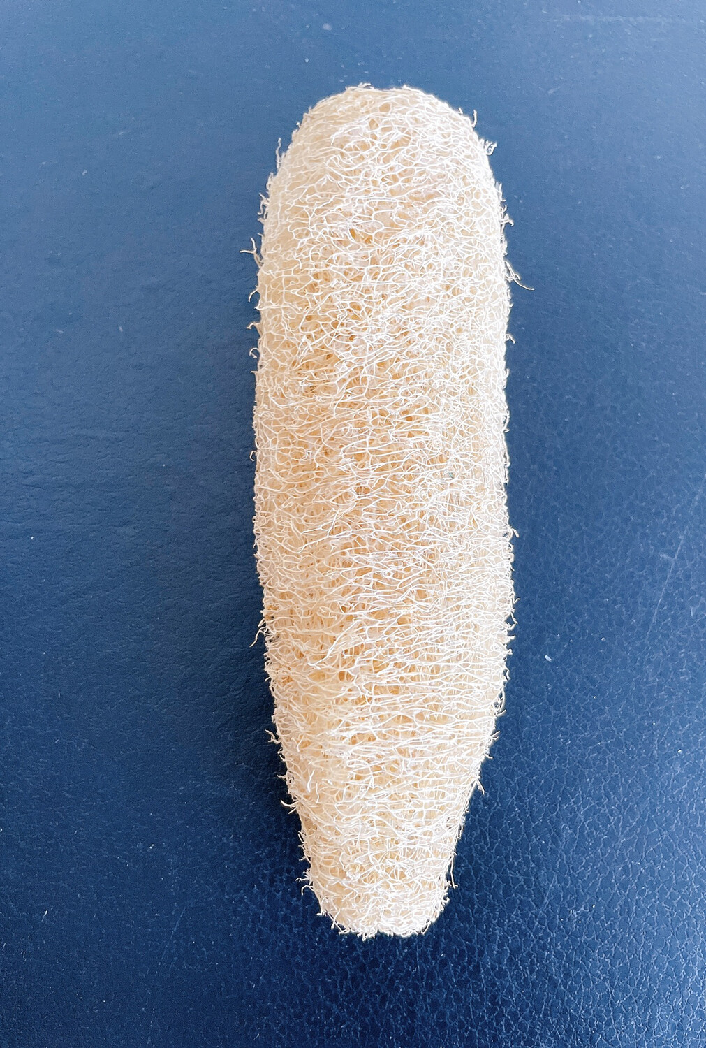 Loofah