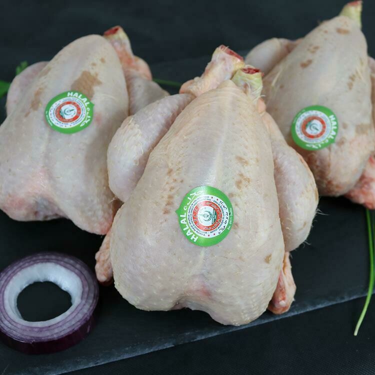 Poulet pack de 3