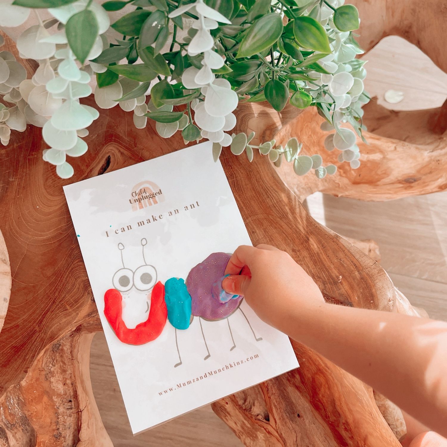 Playdough Molding - Insects