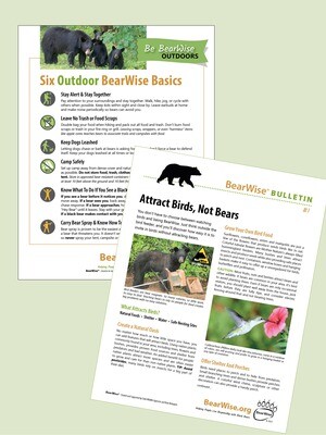 BearWise Educational Materials: Tools & Resources for Bear Safety ...
