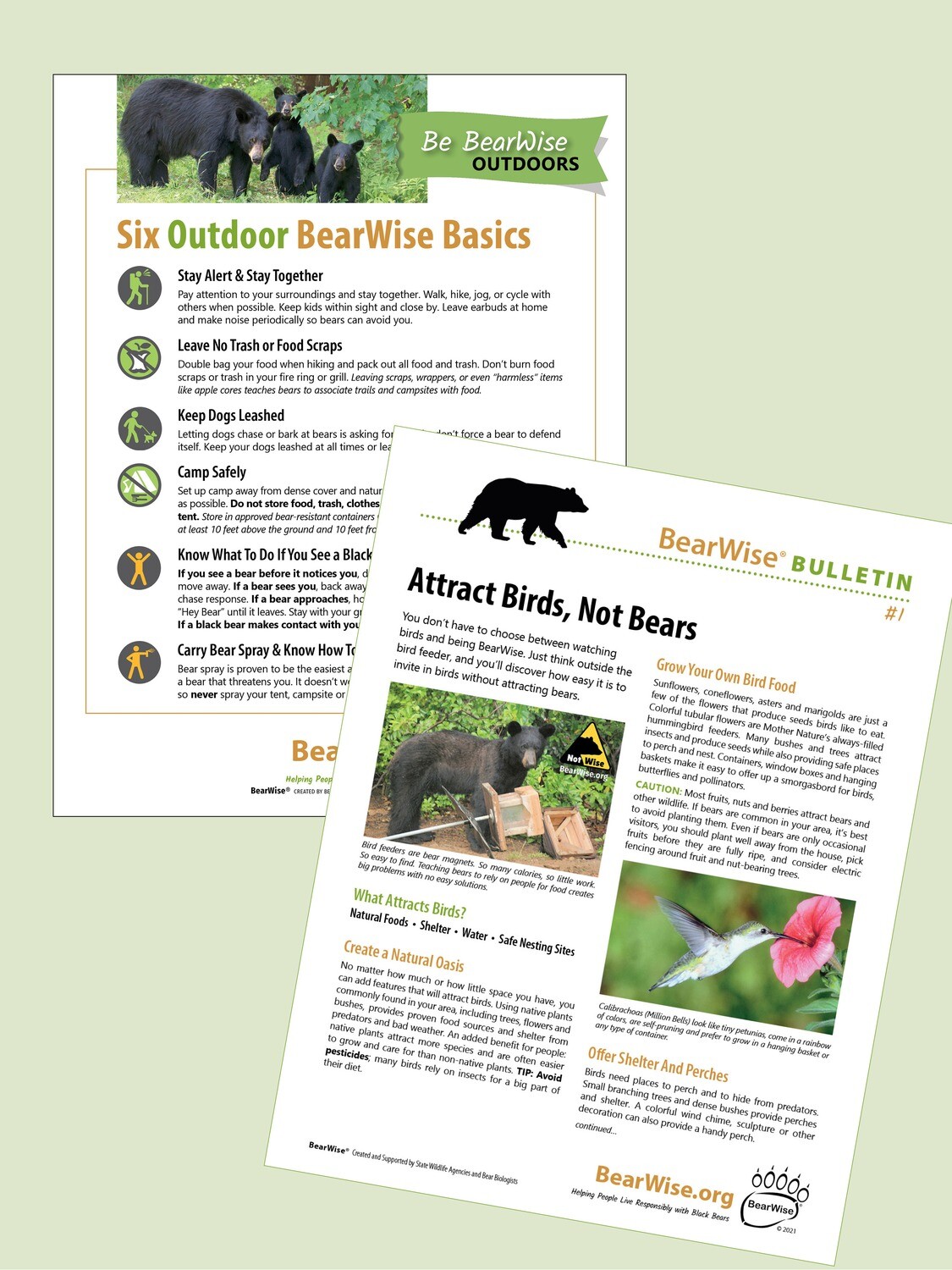 Fact Sheets, Checklists, Posters - BearWise Educational Materials ...