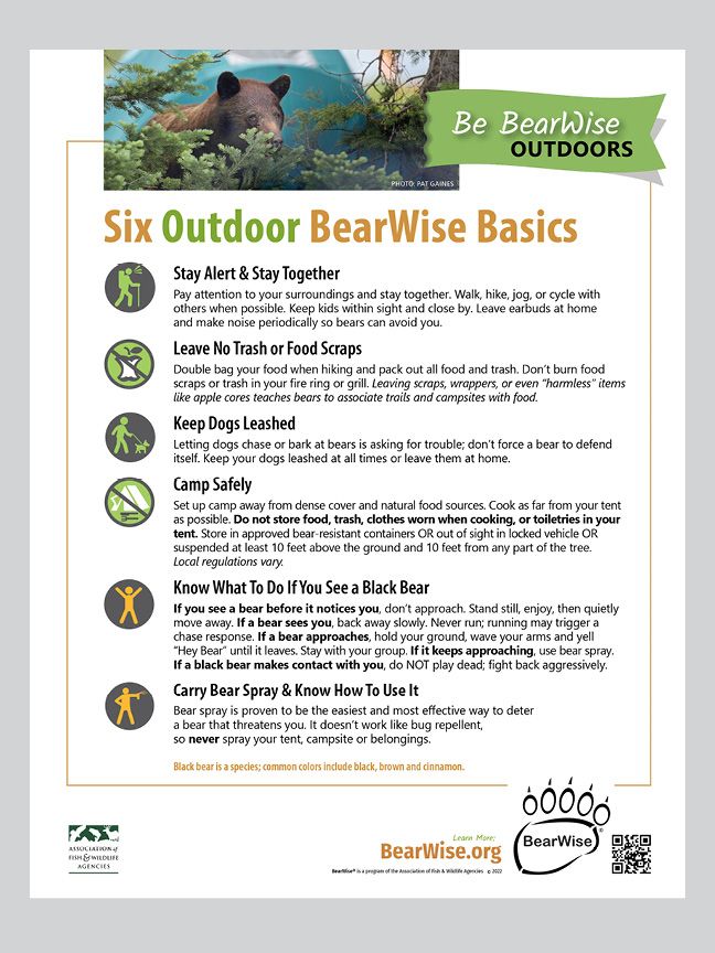 Six Outdoor BearWise Basics - BearWise Educational Materials: Tools ...