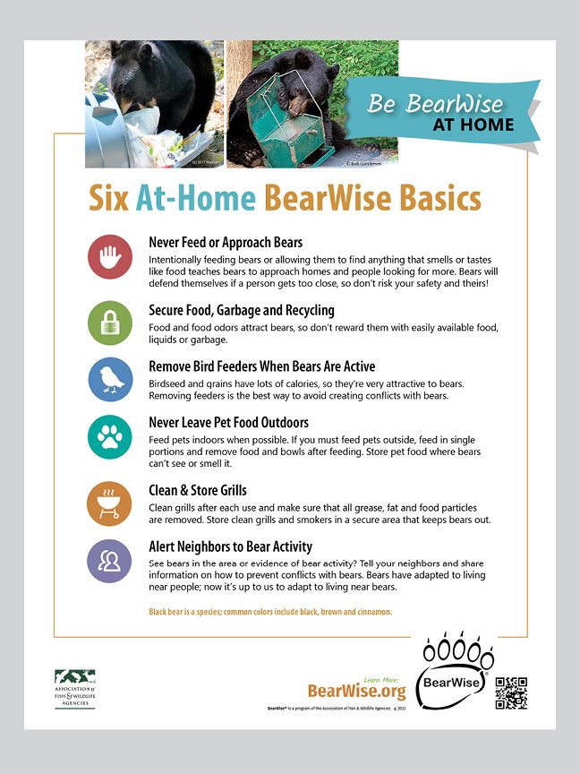 Six At-Home BearWise Basics Flyer / Poster - BearWise Educational ...